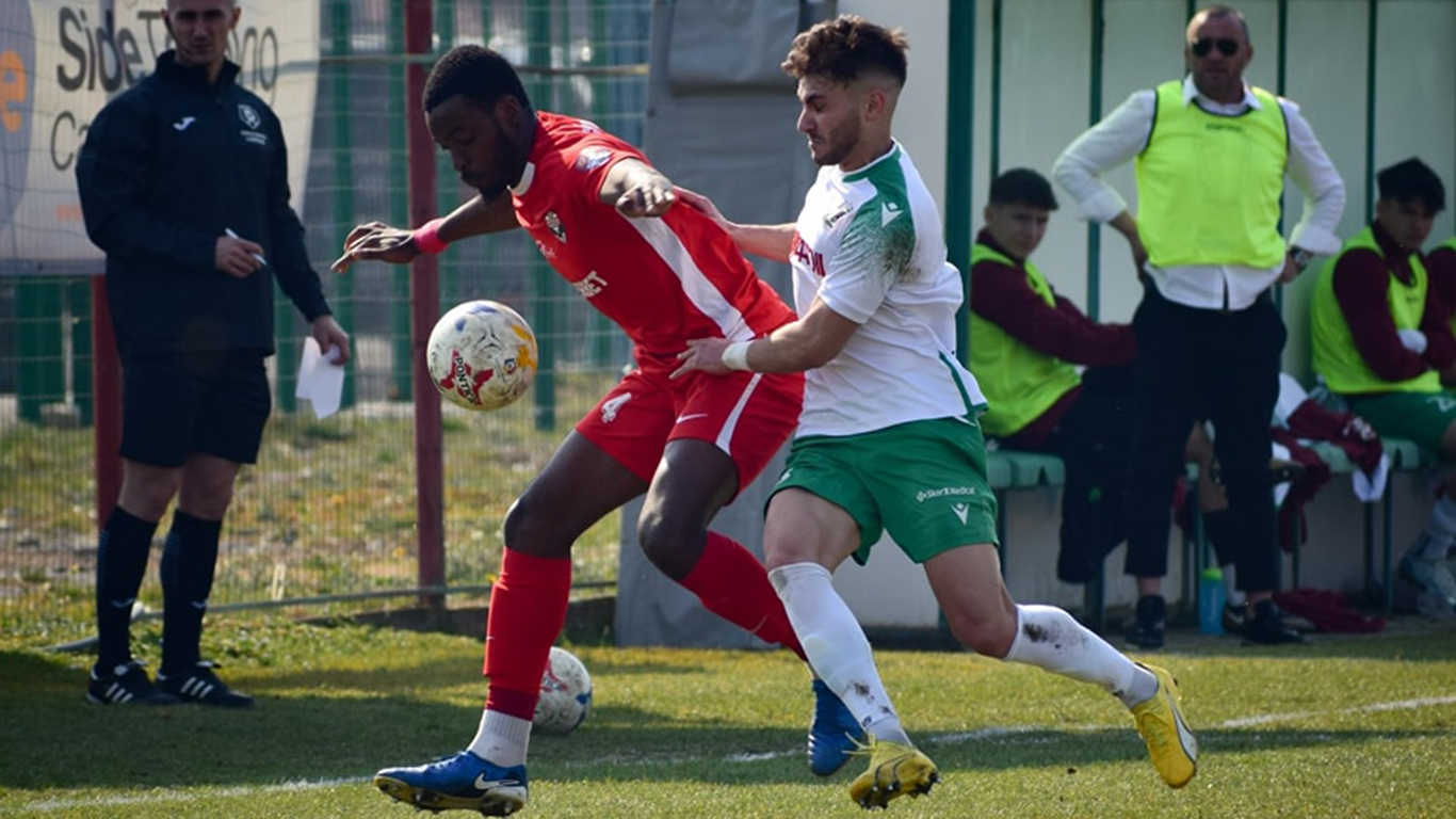 Sorin Colceag, ironic cu adversarii după ce Muscelul a luat bătaie la ...