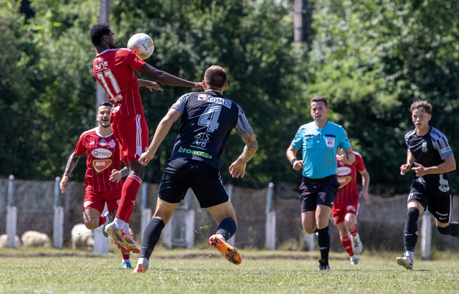 Amical între Ceahlăul și Sepsi OSK